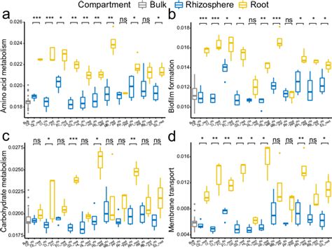 The Comparison Of The Cellular Pathways Involving Enriched Genes Among