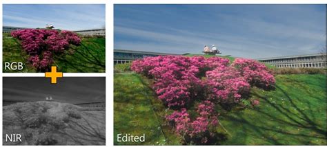 interactive rgb nir photo editing