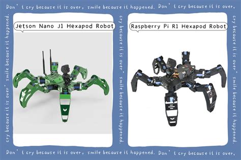 Raspberry Pi Bionic Hexapod And Jetson Nano Hexapod Technical Differe