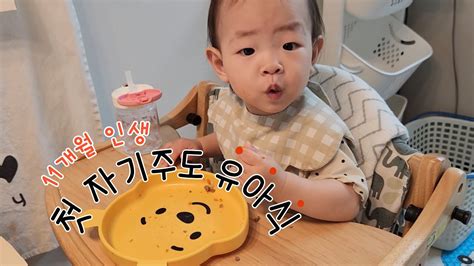 11개월 먹보 아가의 유아식 도전과 첫 협찬👍 Youtube