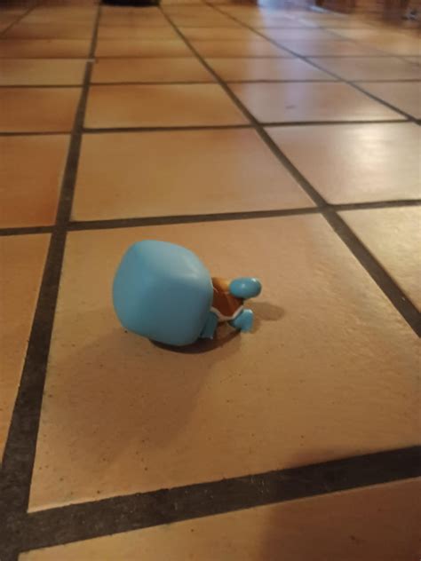Yes The Thing Is A Squrtle Rmandjtv