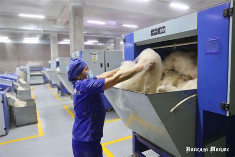 “Цагаан алт” хөтөлбөр малын гаралтай түүхий эдийг үнэ цэнтэй болгоно Niislel Times