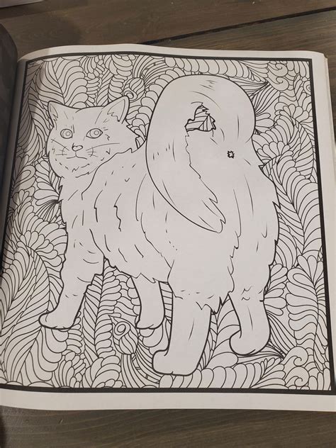 Раскраска с котиками жопа кота раскраска котенька НЕТ