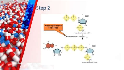 Differential Rna Processing Pptx