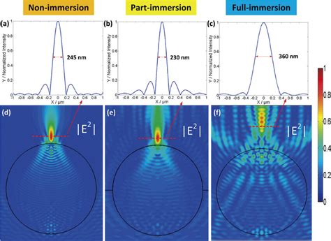 Numerical Simulation Of Light Focusing Through A 10 µm Diameter Silica