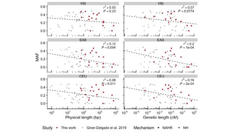 Correlation Between Inversion Size And Frequency Negative Correlations
