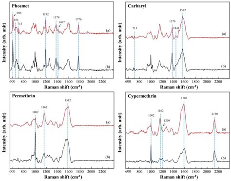 Sers Spectra A From The Pesticide Containing Apple Peels In Download Scientific Diagram