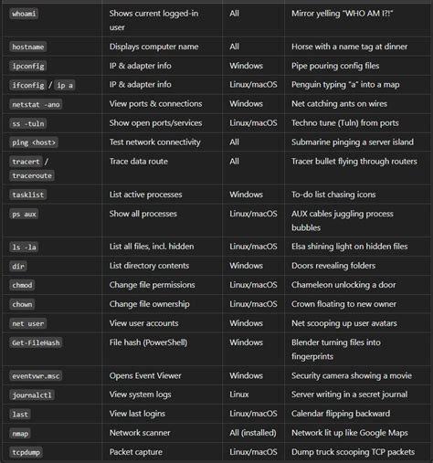 💻 Command Line Demystified Think Of It Like Hotkeys Or Shortcuts For