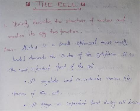 Selina Concise Class 6 Biology Chapter 3 Cell The Structure And Selina Concise Class 6 Biology Chapter 3 Cell The Structure And