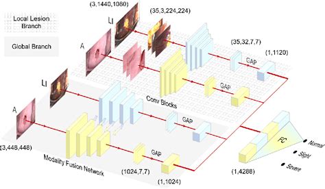 Figure 2 From Fine Grained Classification Of Colposcopic Images With Multi Modality Semantic