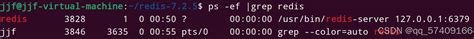 最万能的解决办法：could Not Create Server Tcp Listening Socket 6379 Bind