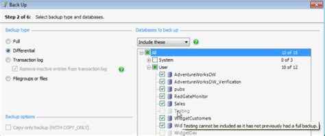 Backing Up All Databases On An Instance SQL Backup 10 Product