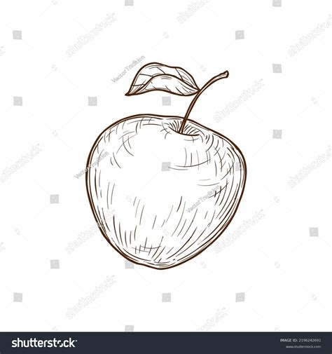 Apple Fruit Stem Leaf Isolated Hand Stock Vector Royalty Free 2196242691 Shutterstock