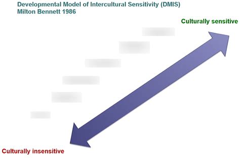 Developmental Model Of Intercultural Sensitivity Diagram Quizlet