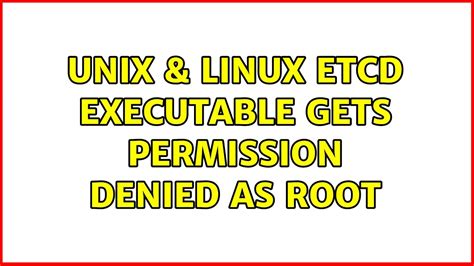 Unix And Linux Etcd Executable Gets Permission Denied As Root Youtube