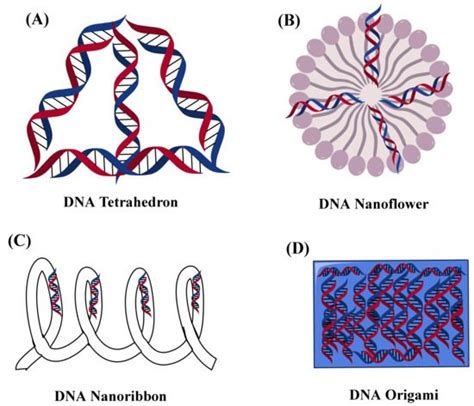 Dna Nanostructures For Cancer Encyclopedia Mdpi