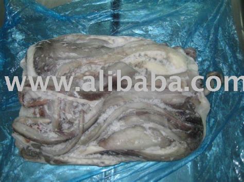 Frozen Giant Squid Tentacleperu Fisholg Price Supplier 21food