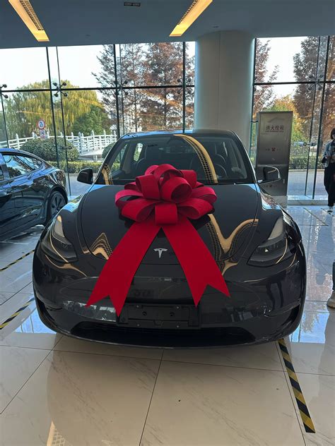 【好玩儿的docker项目】特斯拉车友必备！带可视化面板！10分钟搭建teslamate——一个强大的特斯拉数据记录器！｜grafana数据可视化 爱玩实验室