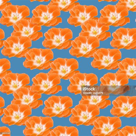 포즈 장미 꽃 그림 꽃의 질감 연속 복제를 위한 매끄러운 패턴입니다 꽃 배경 직물 면 직물 사진 콜라주 벽지에 사용하기 위해 커버 0명에 대한 스톡 사진 및 기타 이미지