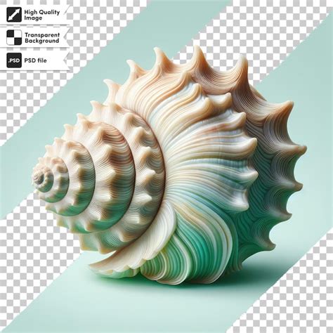 Premium PSD Psd Shells On Transparent Background