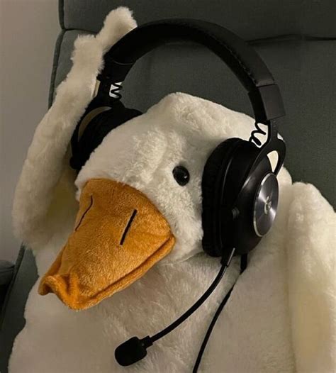 Bash Shell Scripting