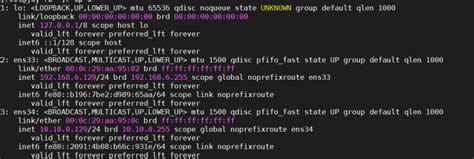 技术分享 oracle rac修改ip信息 oracle rac更改ip csdn博客