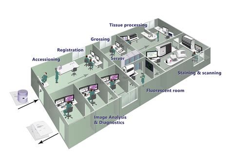 Digitalpathologyworkflow3d