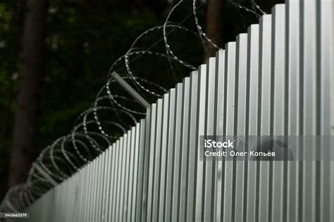 철조망이 있는 강철 울타리 식물 주위에 울타리입니다 사적 영역 금속 프로파일 위험한 전선 0명에 대한 스톡 사진 및 기타 이미지 Istock