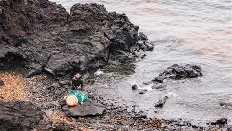 해녀 이미지 찾아보기 561 스톡 사진 벡터 및 비디오 Adobe Stock