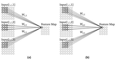 The Connection Between The Input And Output Units Of The Convolution Download Scientific