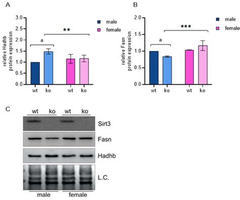 Gene Expression Profiling Reveals Fundamental Sex Specific Differences