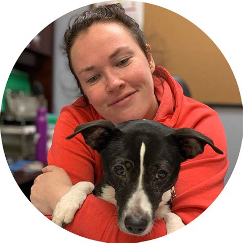 Programs Archive California Health Collaborative