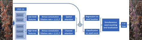 Flowchart Of The Proposed P2pnet Soy The Vgg 16 Is The Base Framework