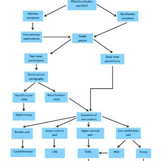 Treatment Algorithm Download Scientific Diagram