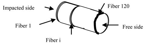 Sample Discretization In 1 Mm Fibers Download Scientific Diagram