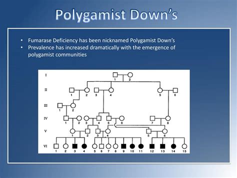 Ppt Fumarase Deficiency Powerpoint Presentation Free Download Id 1728119