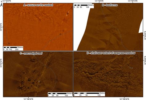 details of the side scan sonar imagery showing important seabed