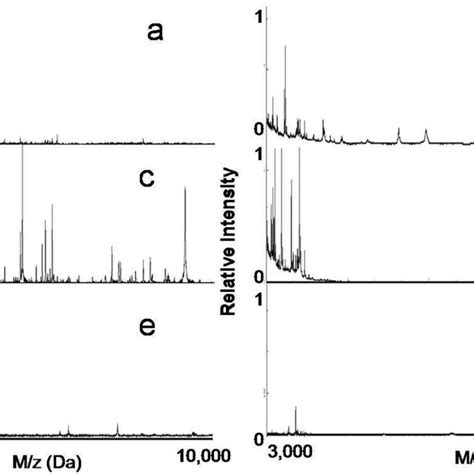 Peptides Enrichment Using The Mesoporous Silica Thin Film Chips Maldi Download Scientific