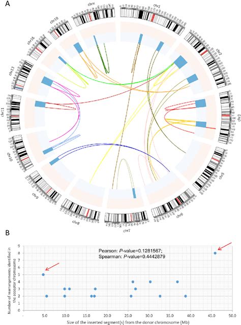 An Overview Of 16 Cases With Chromosomal Insertions Depicting The Download Scientific Diagram