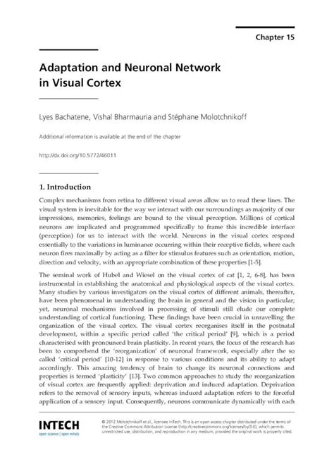 pdf adaptation and neuronal network in visual cortex · adaptation and