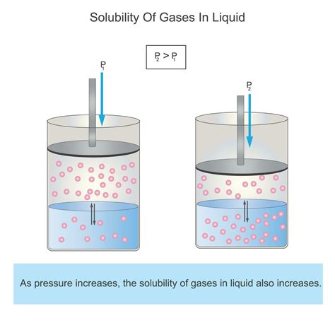 Sulubility Of Gases In Liquid As Pressure Increases The Solubility Of