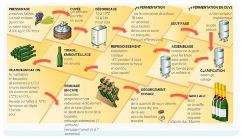 Tout Savoir Sur Le Champagne Le Barséquanais