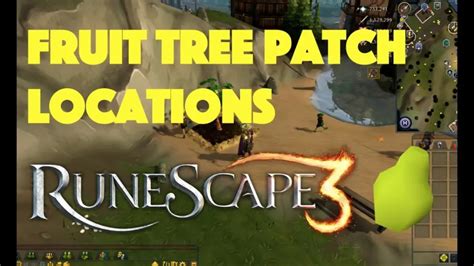 Tree Patch Locations In Osrs A Complete Guide To Farming Trees Osrs