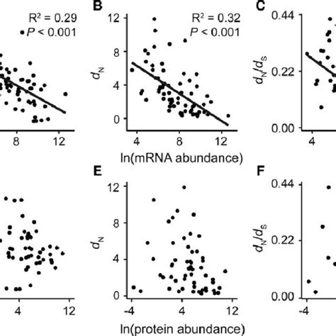 Relationship Between The Rate Of Molecular Evolution And Gene