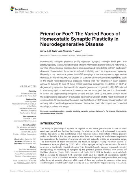 PDF Friend Or Foe The Varied Faces Of Homeostatic Synaptic Plasticity In Neurodegenerative