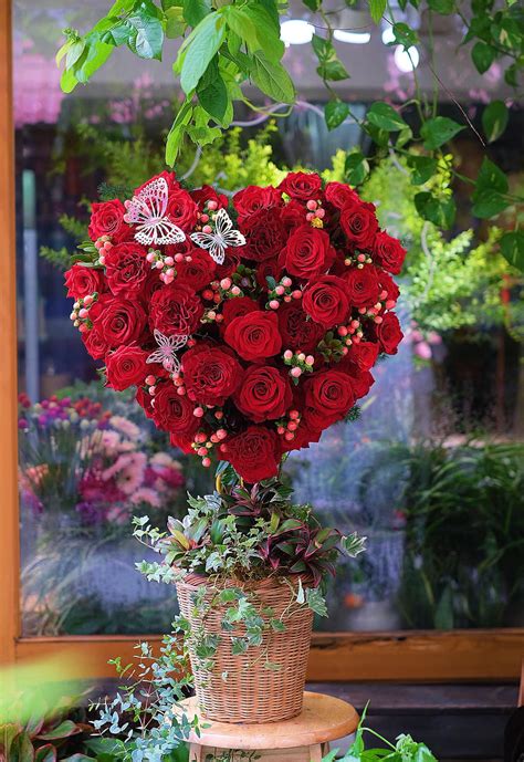 Gi Hoa H Nh Tr I Tim