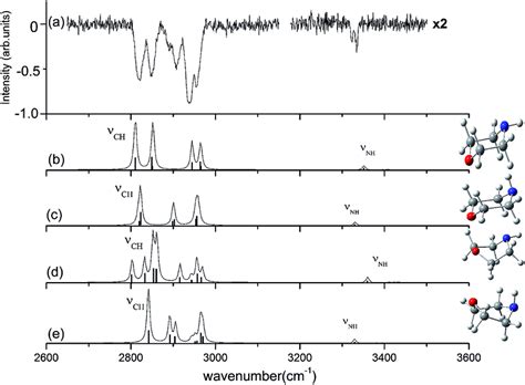 Observed Ir Spectrum Of Neutral Morpholine And The Calculated Spectrum