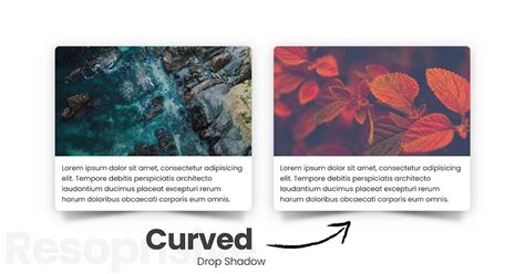 Curved Drop Shadow Effect For Responsive Card Layout A Css Trick Html And Css Coding Snow