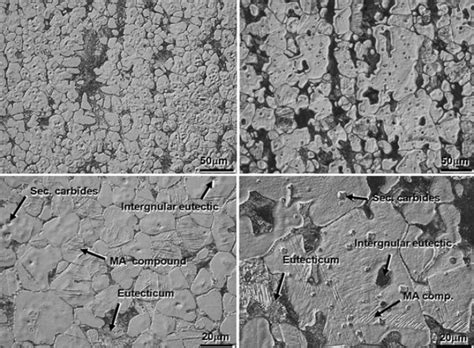 Microstructure Obtained After Mini Thixoforming Light Microscope Download Scientific Diagram