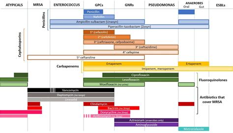 Image Result For Antibiotic Spectrum Chart Antibiotic Chart Flow Sheet